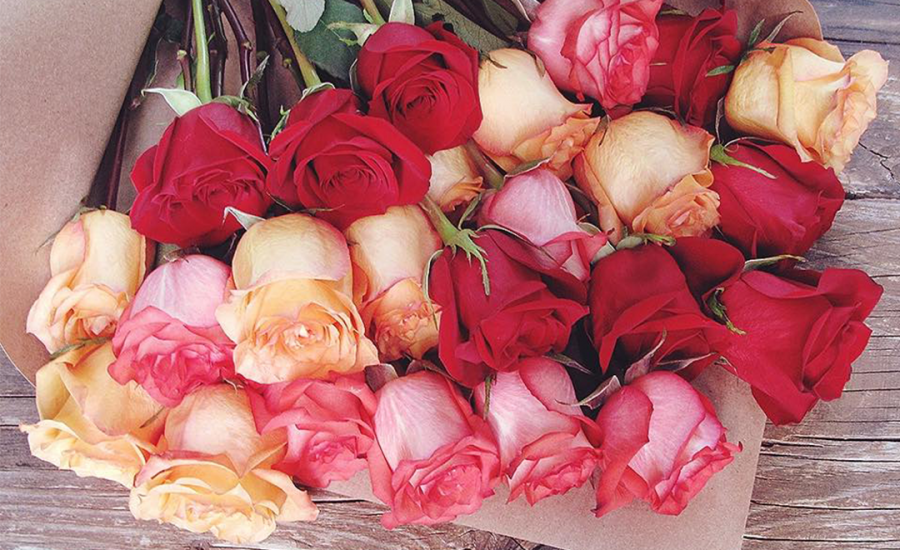 All About Roses, June's Birth Flower | Bouqs Blog