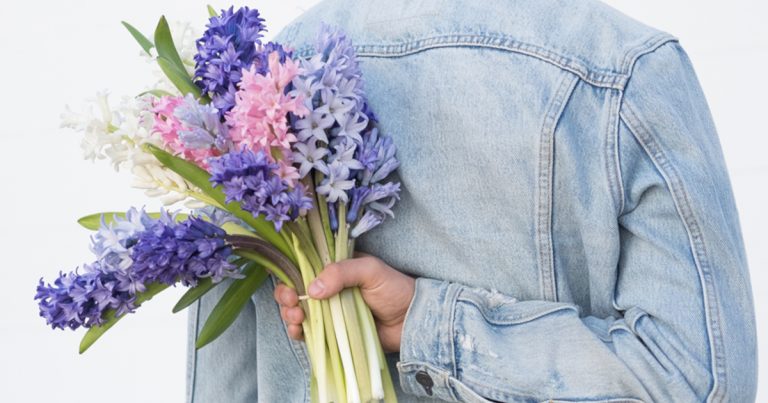 7 Best Apology Flowers to Say "I'm Sorry" | Bouqs Blog
