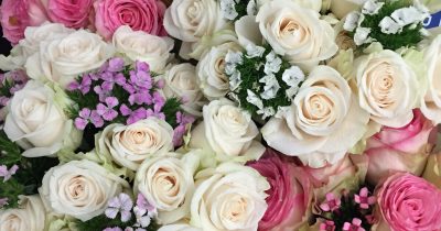 Everything You Need to Know About Roses | Bouqs Blog