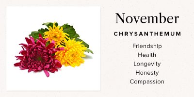Your Birth Month Flower and What It Means | Bouqs Blog