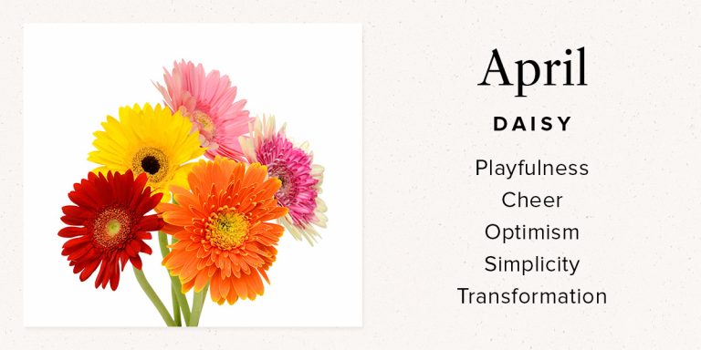 Your Birth Month Flower and What It Means | Bouqs Blog