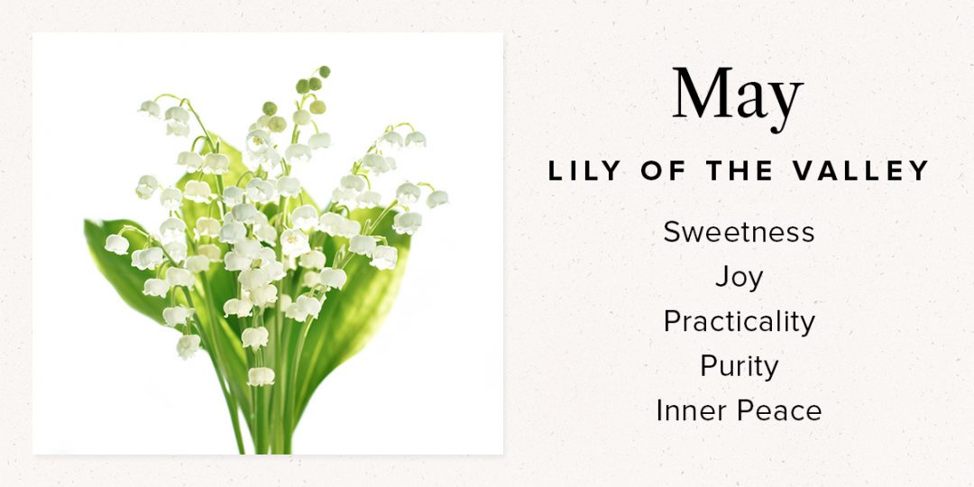 Your Birth Month Flower and What It Means | Bouqs Blog