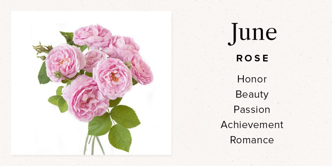 Your Birth Month Flower and What It Means | Bouqs Blog