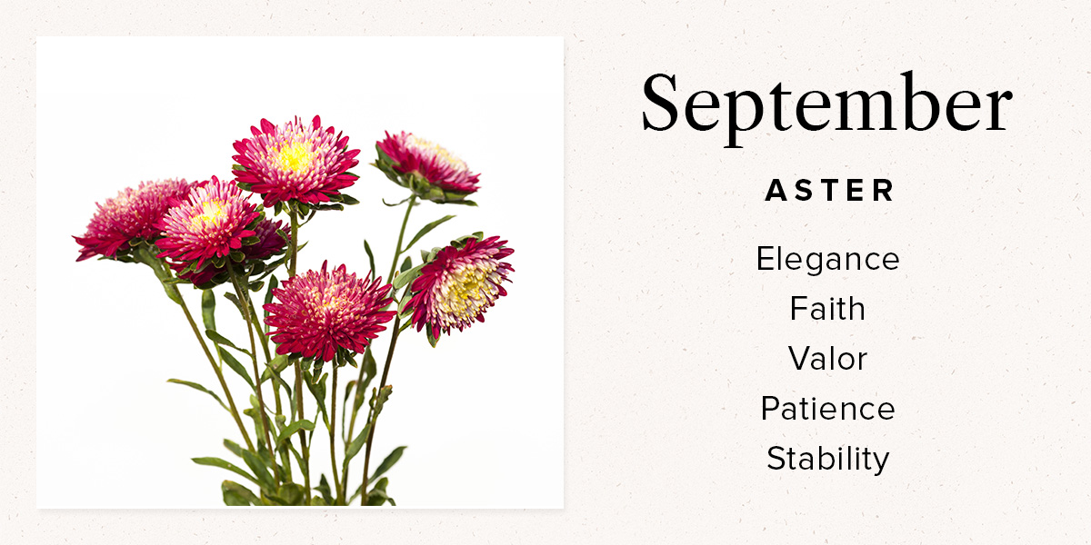 Your Birth Month Flower and What It Means | Bouqs Blog