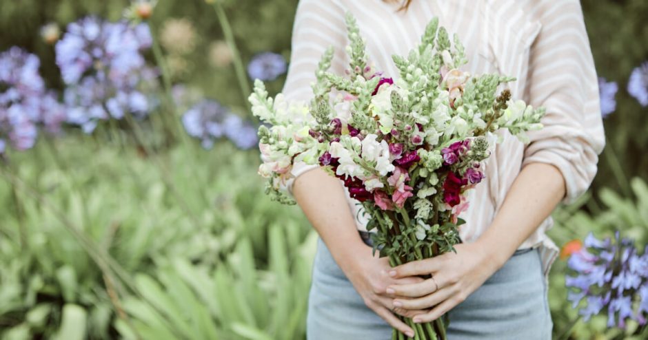 Which Spring Flowers Are Best for Your Bouquet? | Bouqs Blog