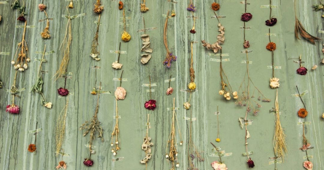 Ways to Repurpose Old Flowers | Bouqs Blog