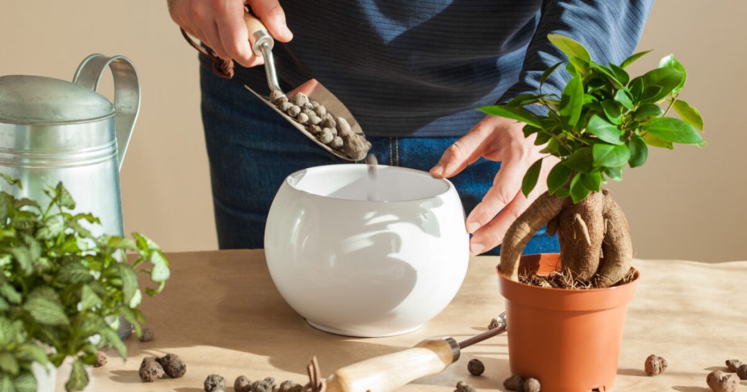 Best Ways to Spend Summer Indoors | Bouqs Blog