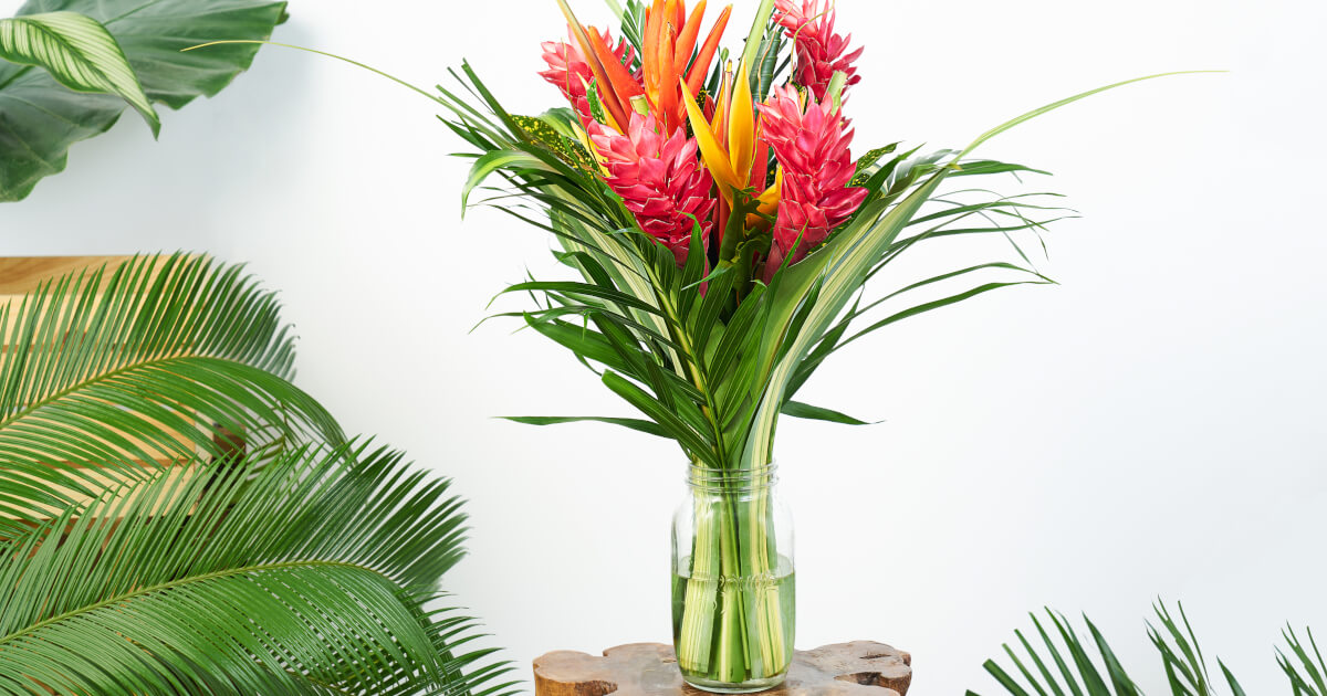 Best Ways to Spend Summer Indoors | Bouqs Blog