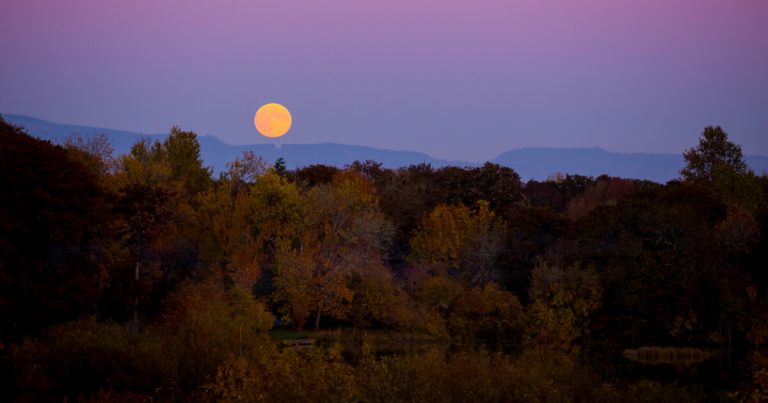 8 Signs that Fall is in Full Swing | Bouqs Blog