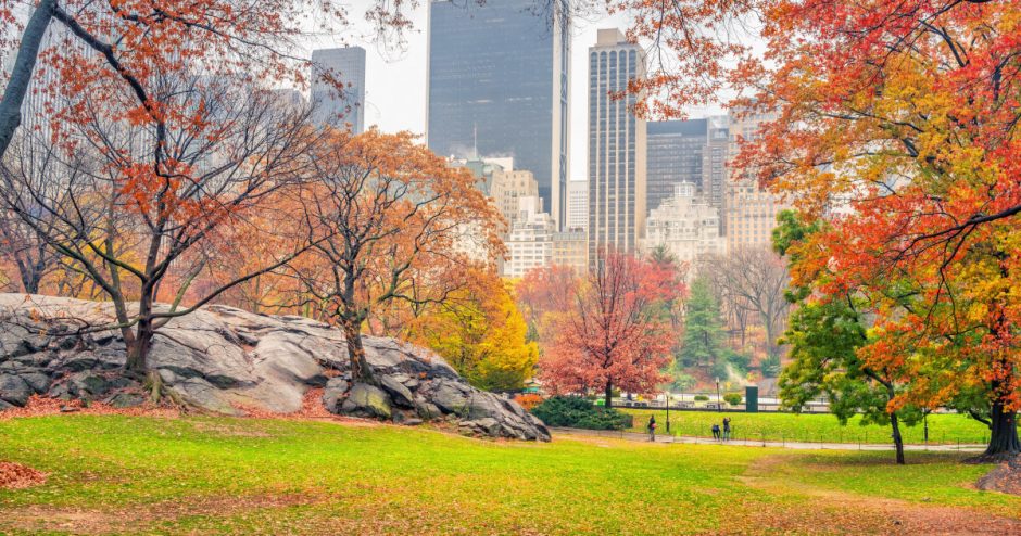 8 Signs that Fall is in Full Swing | Bouqs Blog