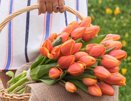 History of Birthdays: Why We Celebrate | Bouqs Blog