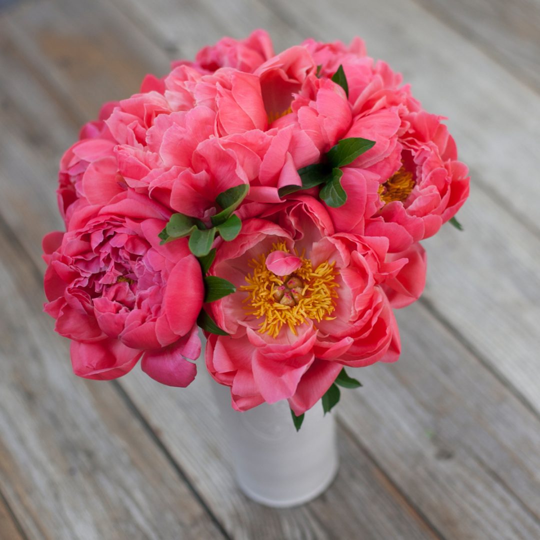 7 Interesting Facts About Peonies | Bouqs Blog