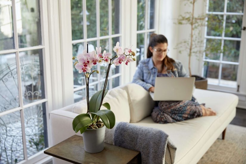 Ultimate Guide to a Virtual Mother's Day 2021 | Bouqs Blog