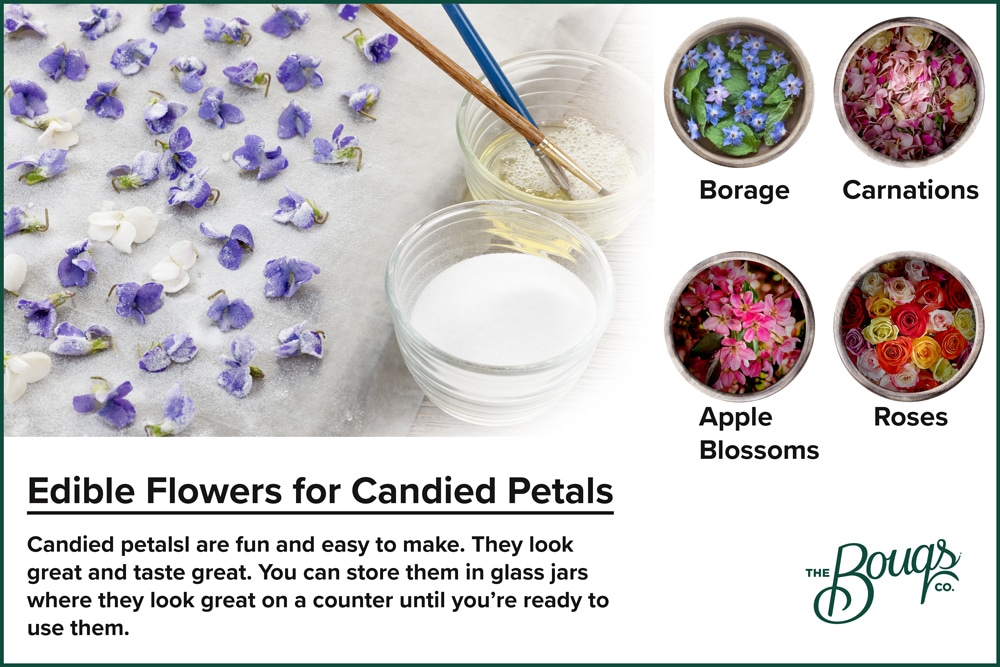 Edible Flowers List | Flowers You Can Eat | Bouqs Blog