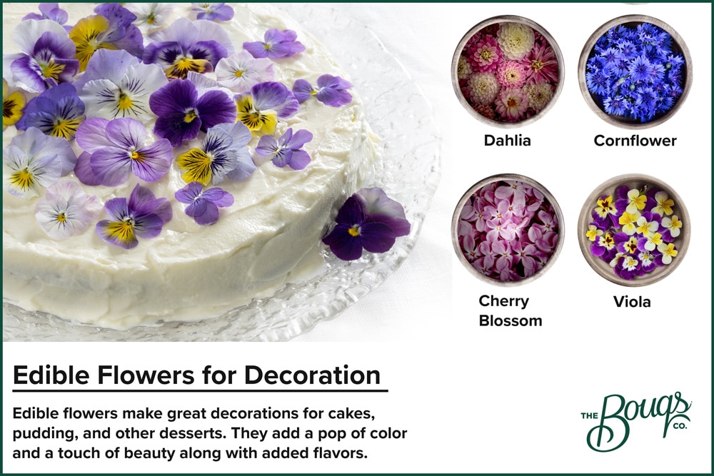 Edible Flowers List | Flowers You Can Eat | Bouqs Blog