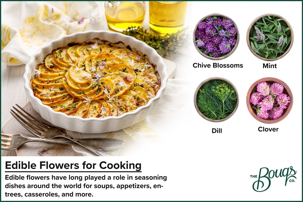 Edible Flowers List | Flowers You Can Eat | Bouqs Blog