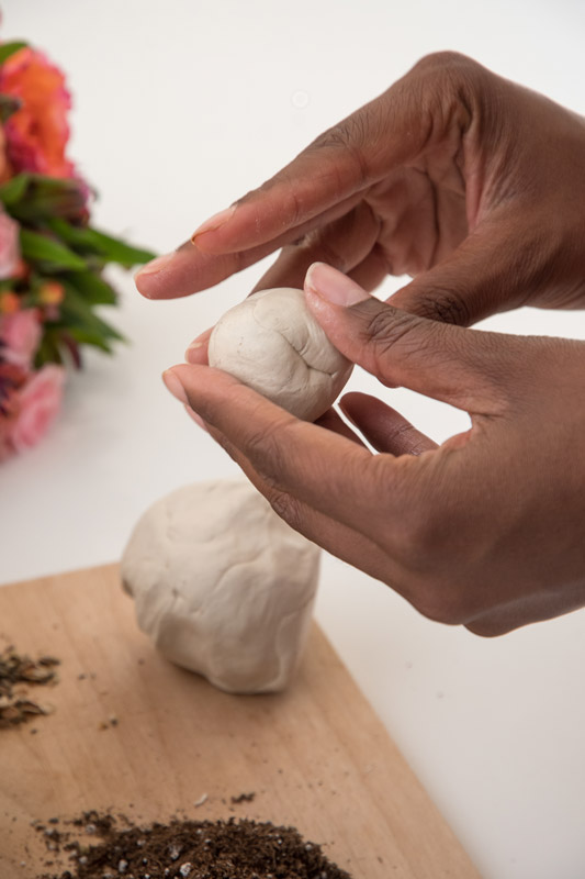 How to Make DIY Flower Seed Bombs | Bouqs Blog