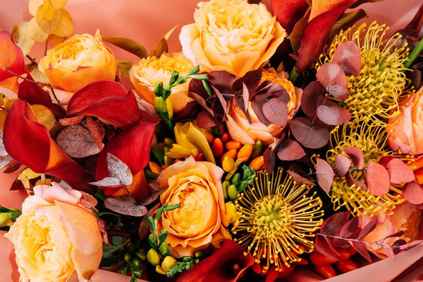 25 Best Fall Flowers: Autumn Garden Flowers | Bouqs Blog