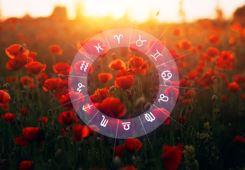 Zodiac Flowers: Flowers for All 12 Zodiac Signs | Bouqs Blog