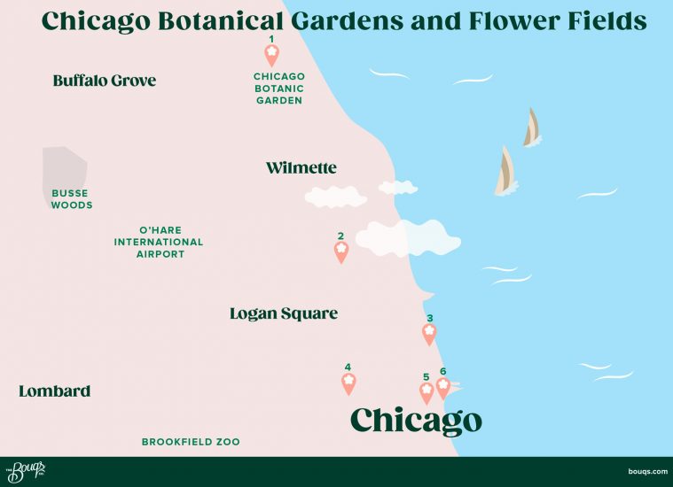 Chicago Botanical Gardens and Flower Fields | Bouqs Blog