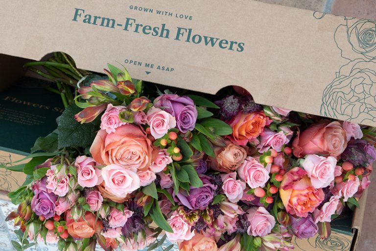 10 Reasons to Send Flowers Just Because | Bouqs Blog