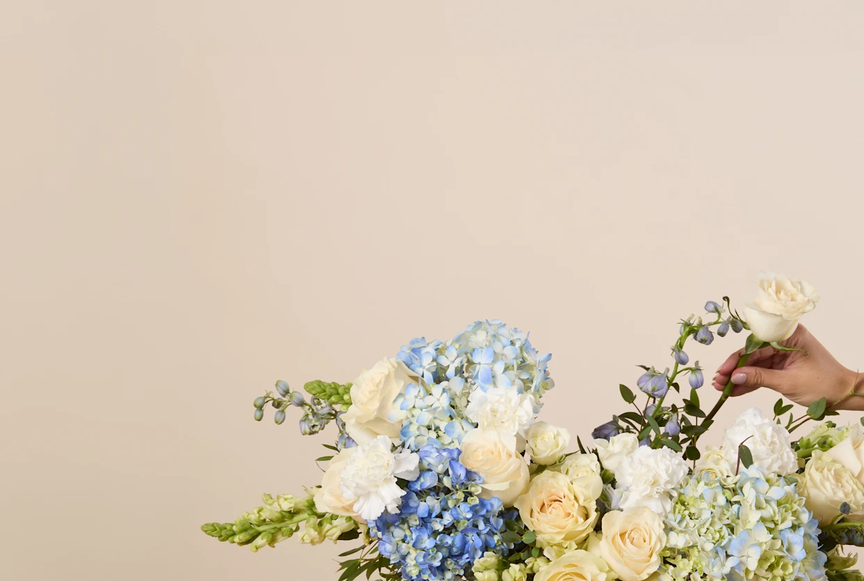 Flower Delivery | Fresh Flowers | Send Flowers Online - The Bouqs Co.