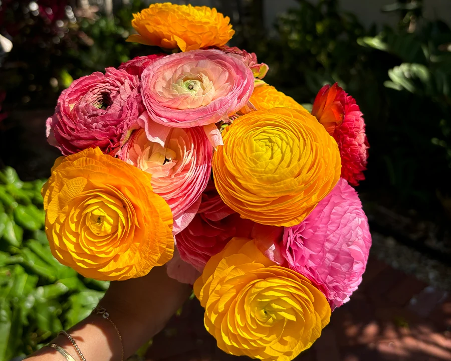 Flower Delivery | Fresh Flowers | Send Flowers Online - The Bouqs Co.