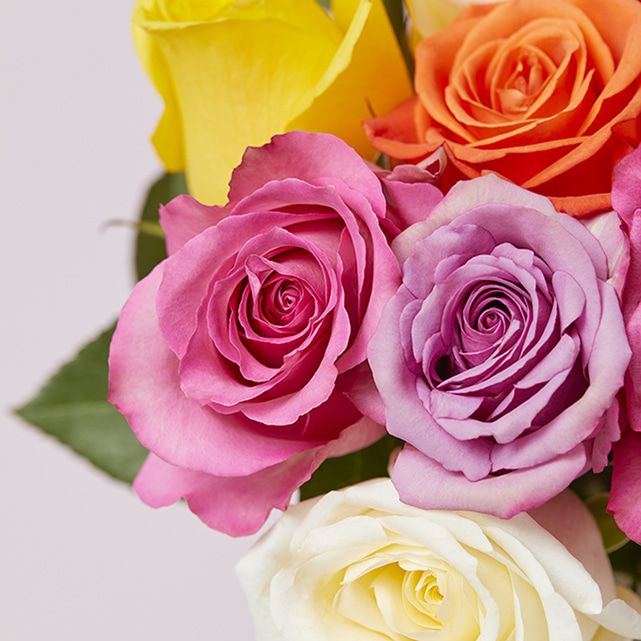 24 Birthday Roses with Pink Vase - The Bouqs Co.