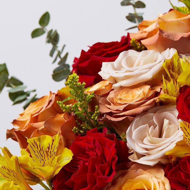 Roses Bouquet Featuring Blush, Red, and Sandy Beige Roses - The Bouqs Co.