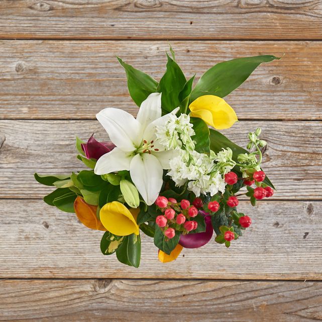 Yellow Calla Lily and Silver Bell Arrangement - The Bouqs Co.