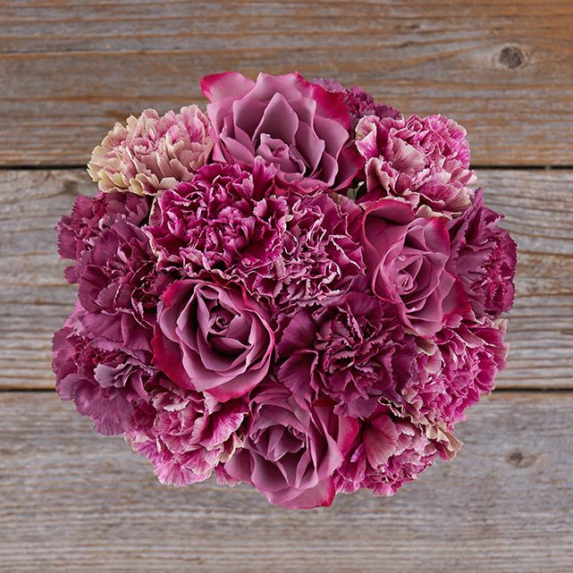Purple Carnation and Two-Tone Rose Bouquet - The Bouqs Co.