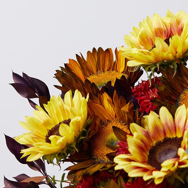 Copper Sunflowers + Purple Ruscus & Orange Silver Dollars - The Bouqs Co.