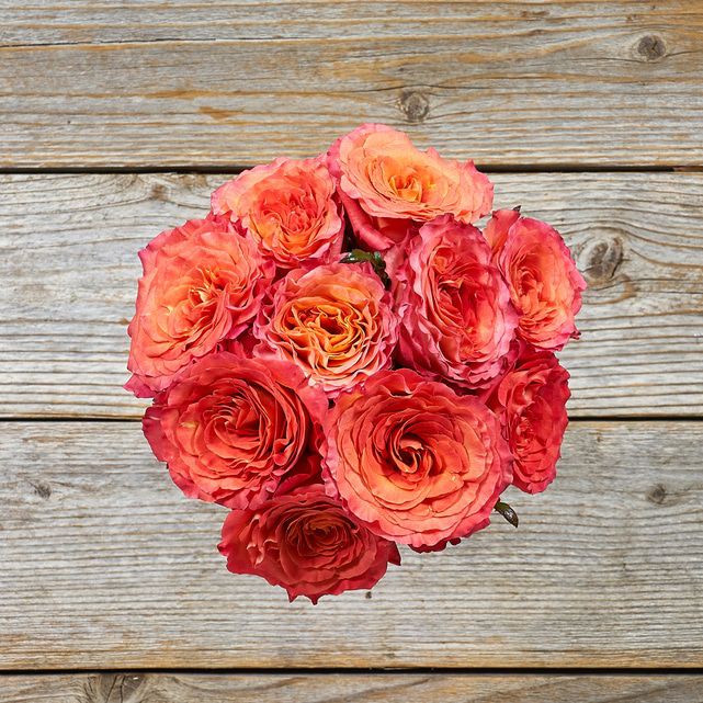 Coral Gradient Rose Bouquet - The Bouqs Co.