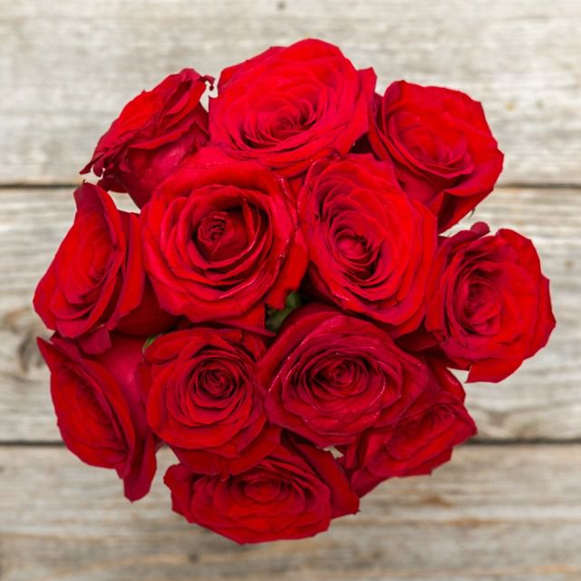 Classic Red Rose Floral Arrangement - The Bouqs Co.