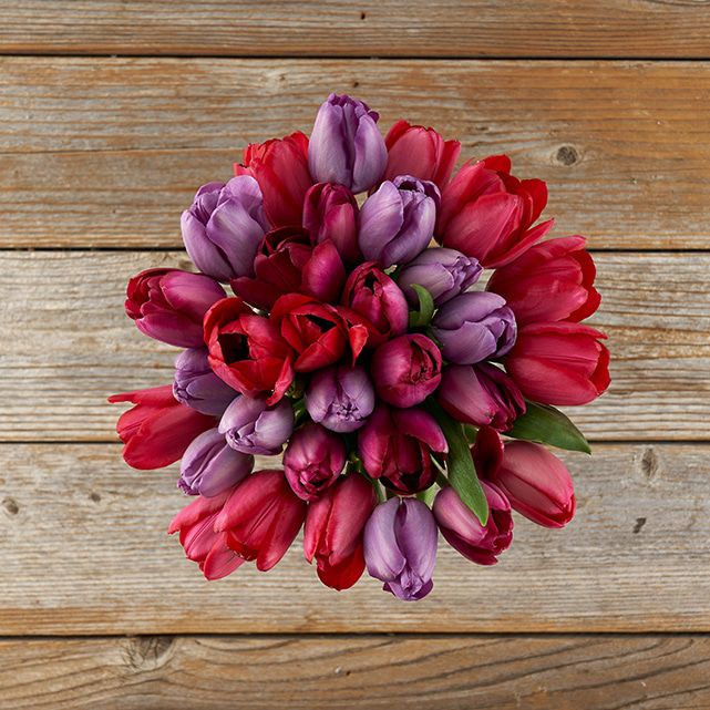 Blended Bouquet of Dark Red and Pink Tulips - The Bouqs Co.