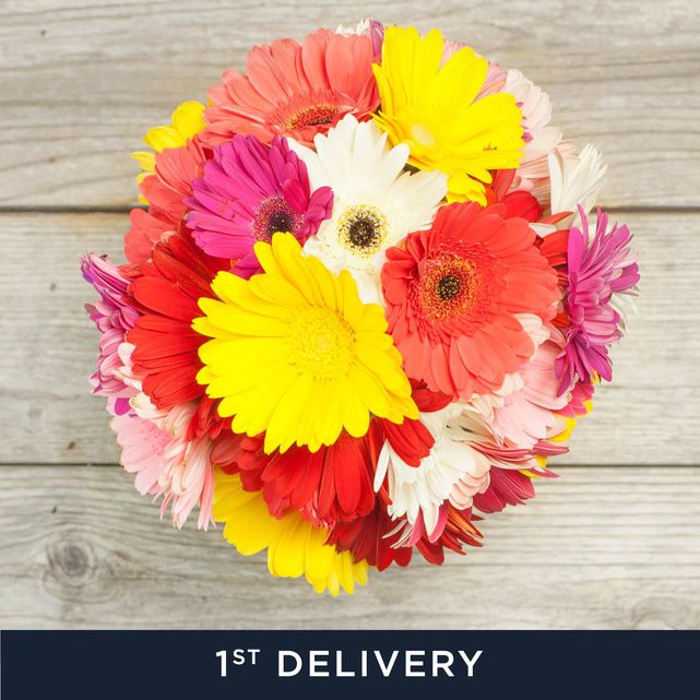 A 3-Month Bright Flower Bundle - The Bouqs Co.