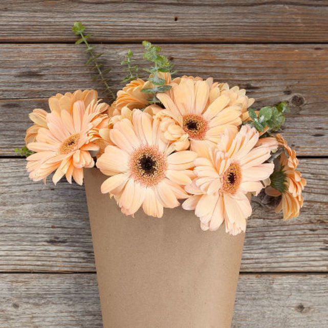 Coral Gerbera Daisy and Eucalyptus Bouquet - The Bouqs Co.