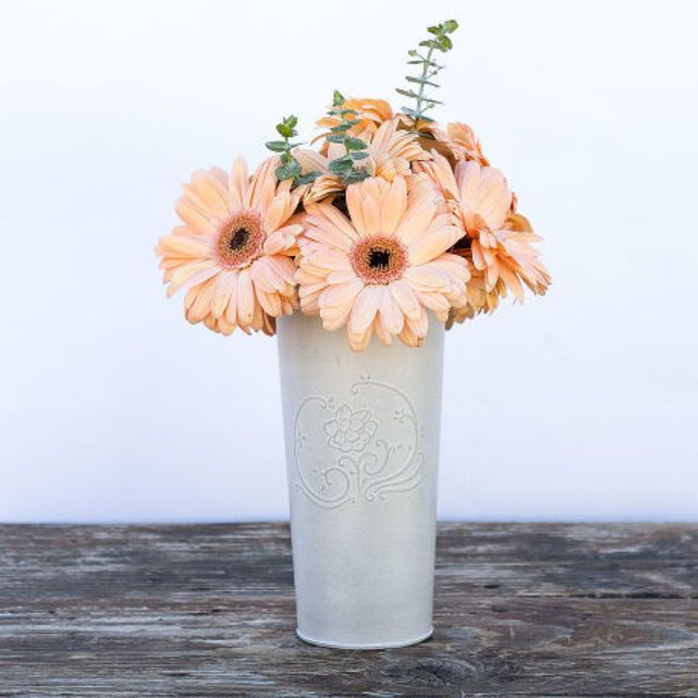 Coral Gerbera Daisy and Eucalyptus Bouquet - The Bouqs Co.