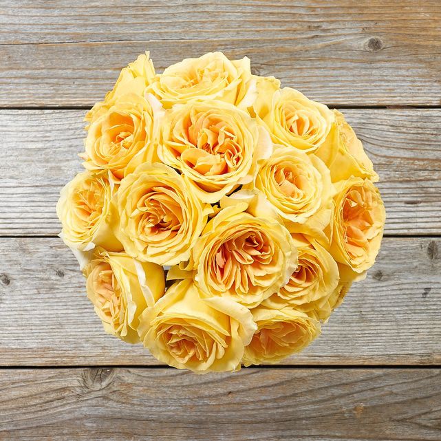 Golden Yellow Garden Roses - The Bouqs Co.