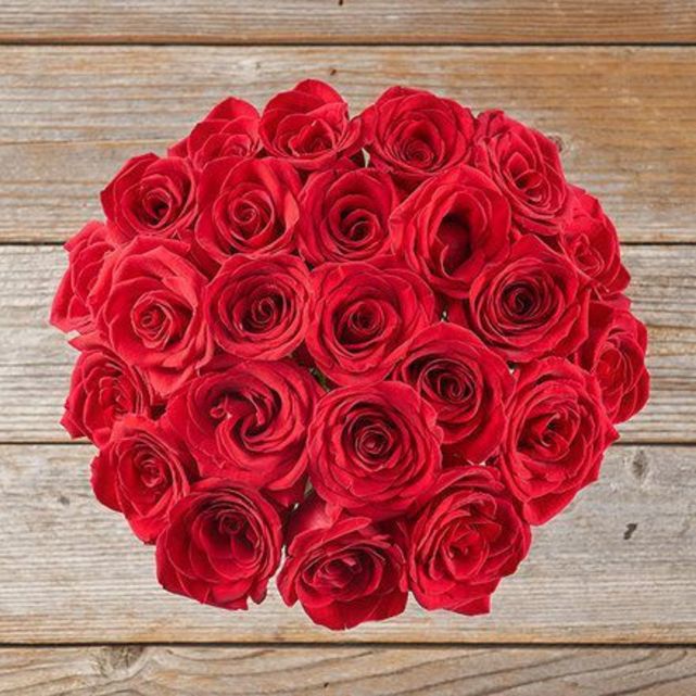 Red Valentine's Roses + Candy Bear Cube - The Bouqs Co.
