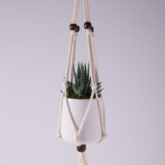 Hanging Macrame Succulent Plant - The Bouqs Co.