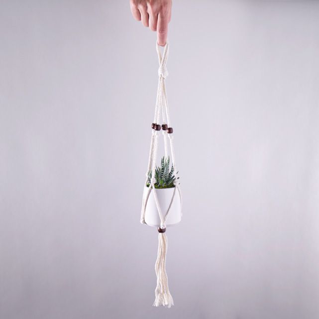 Hanging Macrame Succulent Plant - The Bouqs Co.