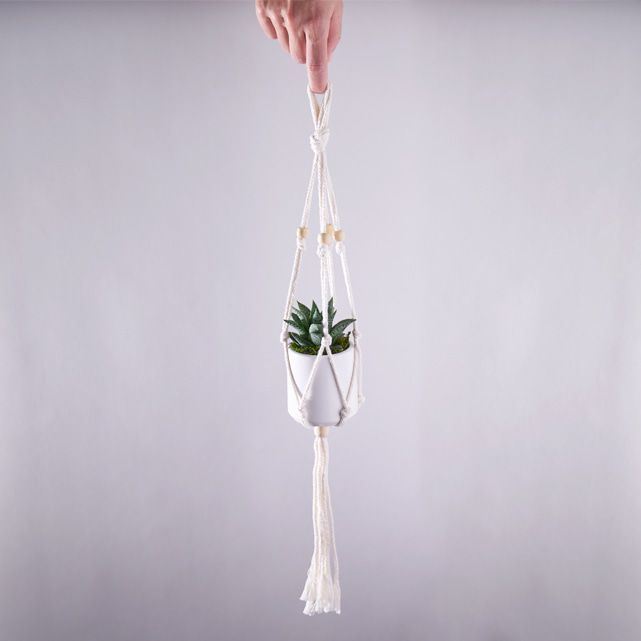 Hanging Macrame Succulent Plant - The Bouqs Co.