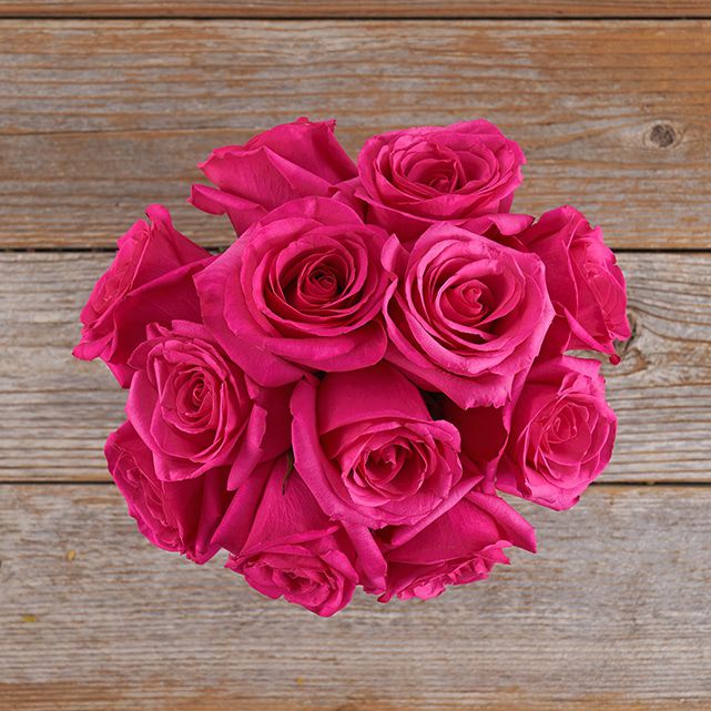 Hot Pink Rose Flower Arrangement - The Bouqs Co.