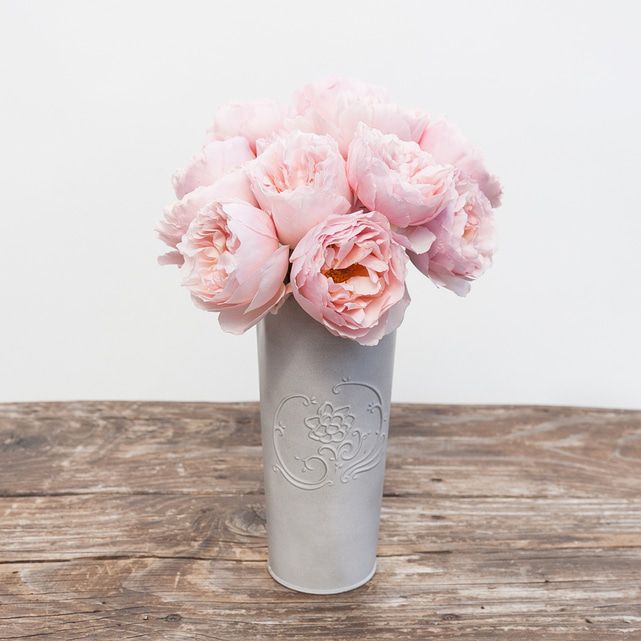 Light Pink Garden Rose Flower Arrangement - The Bouqs Co.