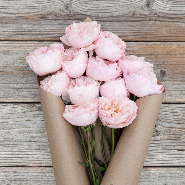 Light Pink Garden Rose Flower Arrangement - The Bouqs Co.