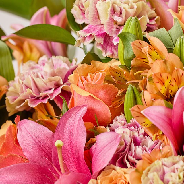 Mixed Lilies, Carnations, Roses & Alstroemeria - The Bouqs Co.