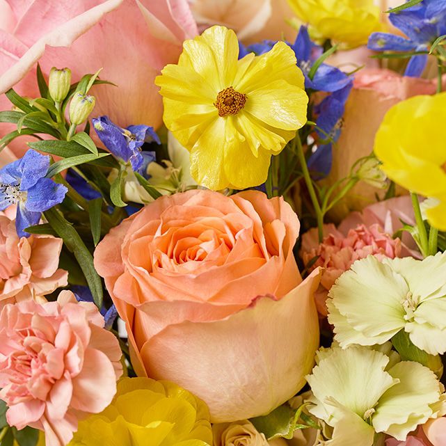 Colorful Mixed Arrangement of Roses, Carnations & Ranunculus - The ...