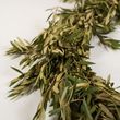 Olive Leaf Garland - Olive Garland Delivery - The Bouqs Co.