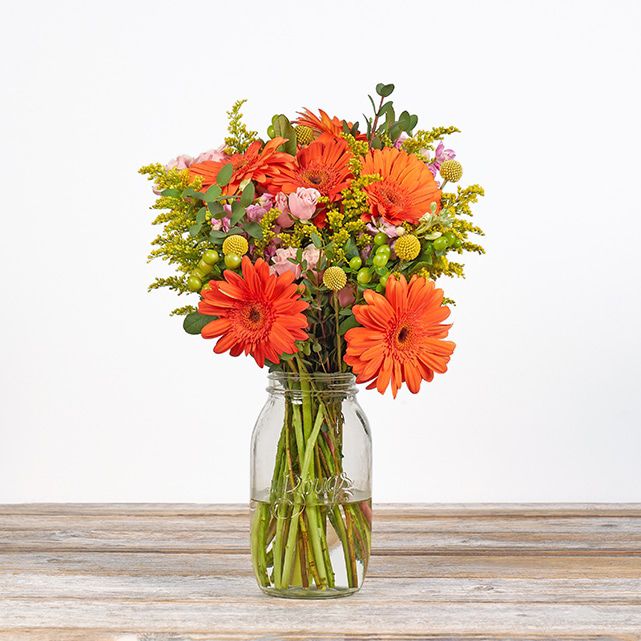 Orange Gerbera Daisy and Pink Spray Rose Floral Mix - The Bouqs Co.